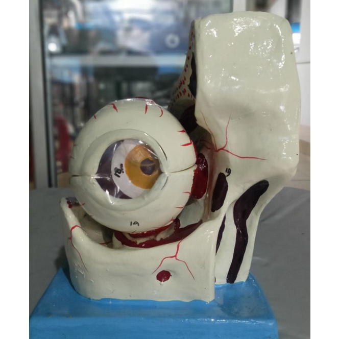 Jual phantom model mata kecil | Shopee Indonesia