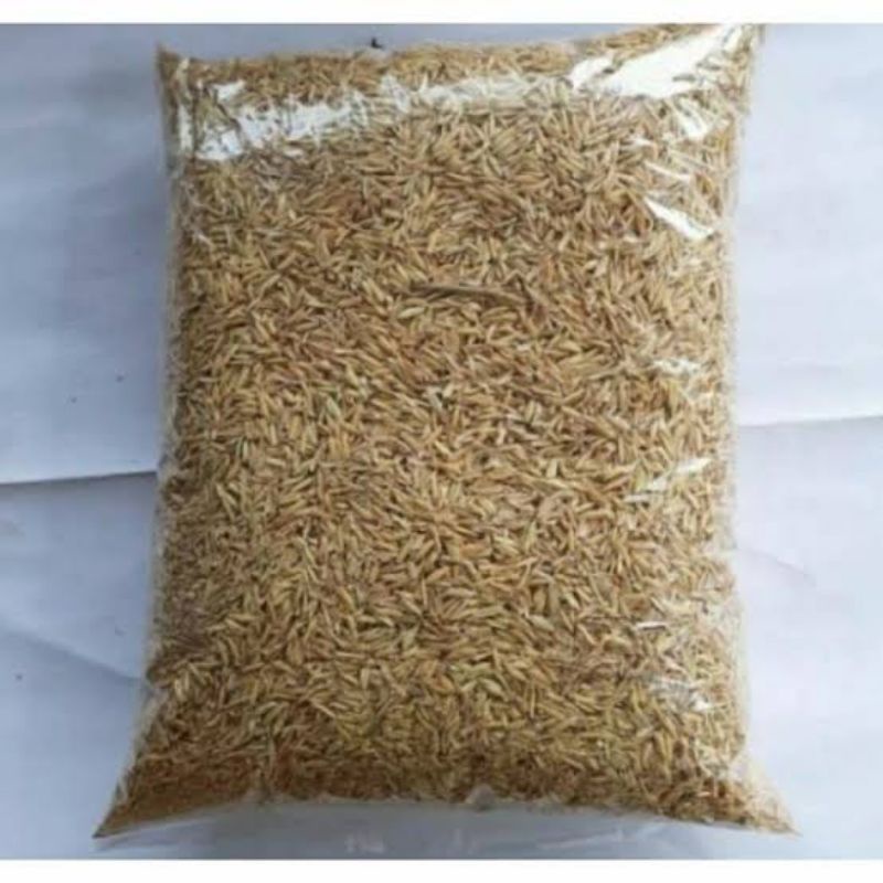Jual Sekam mentah / media tanam / sekam padi 500grm | Shopee Indonesia