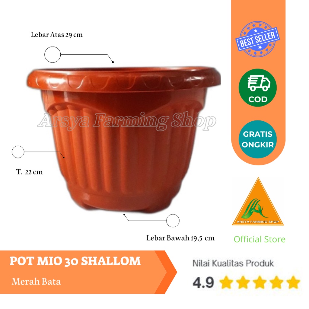 Jual Pot Mio 30 Shallom Warna | Shopee Indonesia