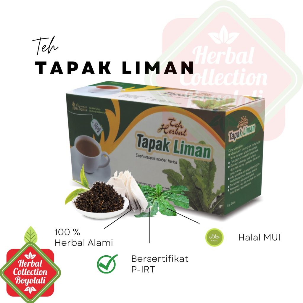 Jual Teh Herbal Tapak Liman Tazakka untuk anti radang alami tanpa efek ...