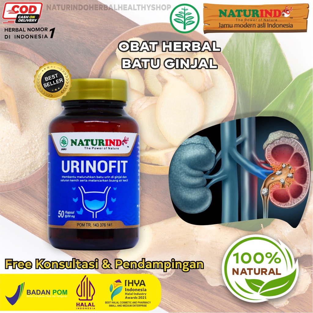 Jual Obat Batu Ginjal Kencing batu Peluruh Endapan Dalam Ginjal Infeksi Saluran Kemih Urinofit ...