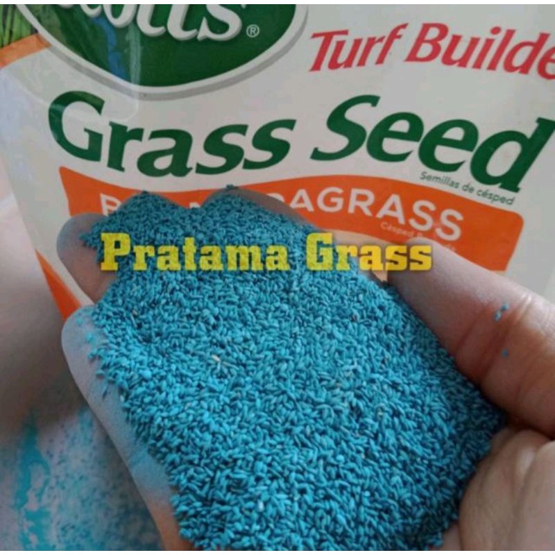 Jual Benih Rumput Jepang - Bibit Rumput Jepang 100Gram | Shopee Indonesia