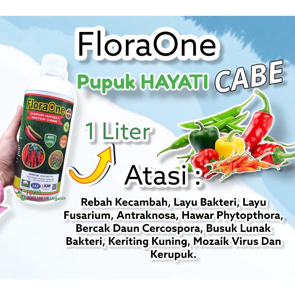 Jual Pupuk Hayati cair cabai rawit agar berbuah lebat, FLORAONE pengendali hayati tanaman cabe ...