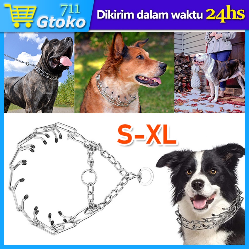 Jual Kalung Rantai Tali Anjing Besar Adjustable Kerah Pelatihan Karet ...