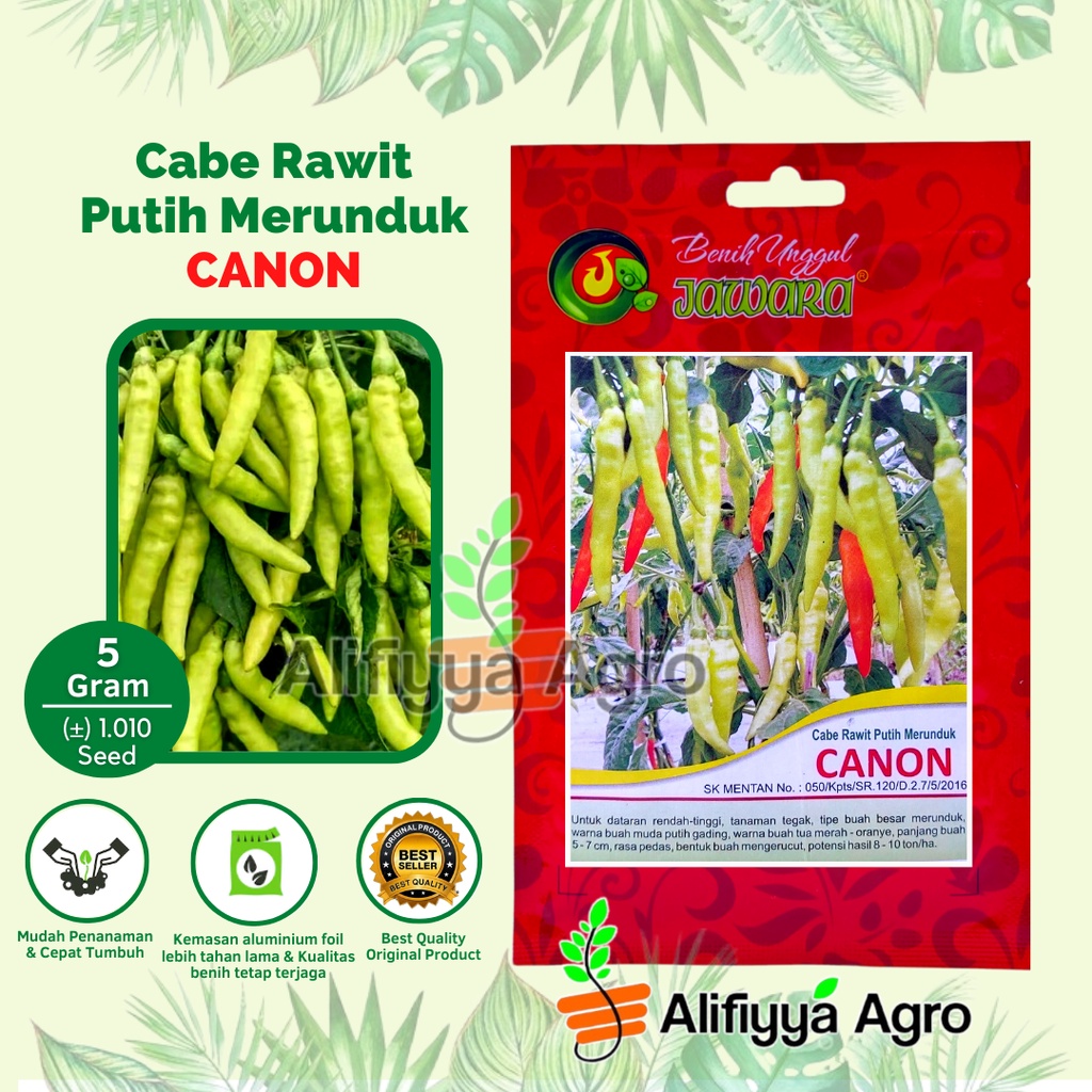Jual BENIH CABE RAWIT PUTIH CANON JAWARA ISI 5 GRAM ( +/- 1010 BENIH ...