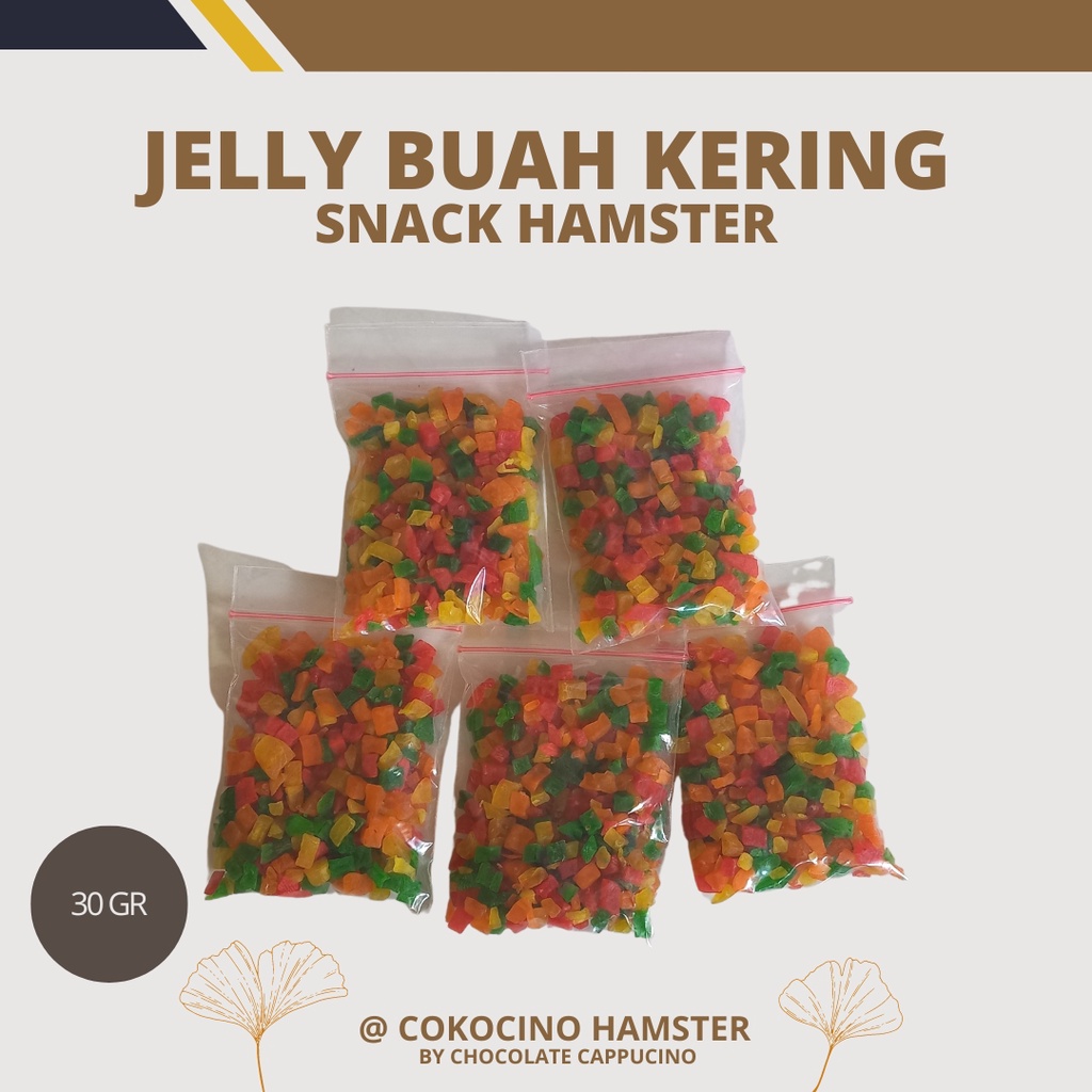 Jual Snack Hamster Jelly Buah Kering Dried Fruit Cemilan Extra Makanan ...