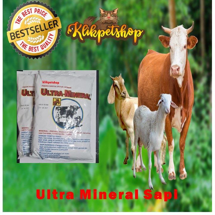 Jual Ultra Mineral Premik Sapi Penggemukan,Produksi Susu,Untuk ...