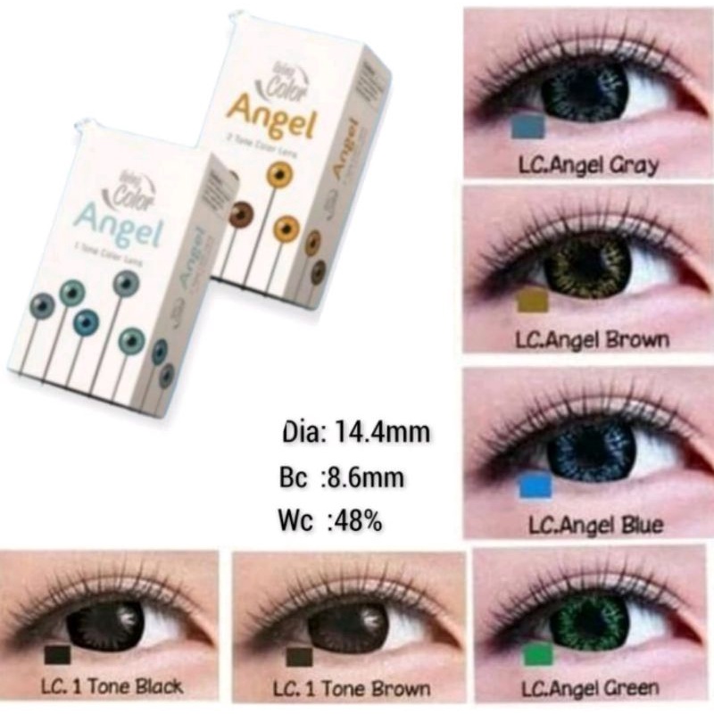 Jual SOFTLENS LIVING COLOUR ANGEL by IRIS LAB(NORMAL) | Shopee Indonesia