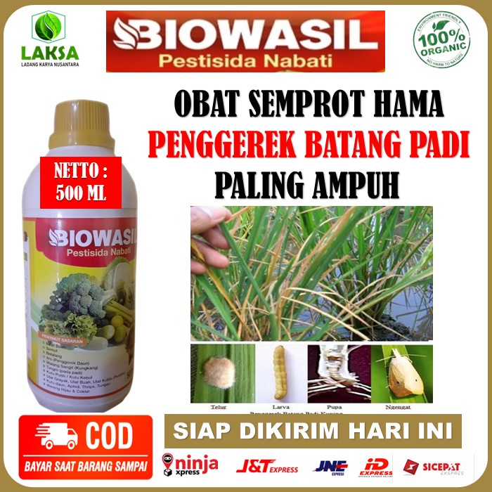 Jual BIOWASIL 500 ML PESTISIDA NABATI Obat Atasi Hama Penggerek Batang ...