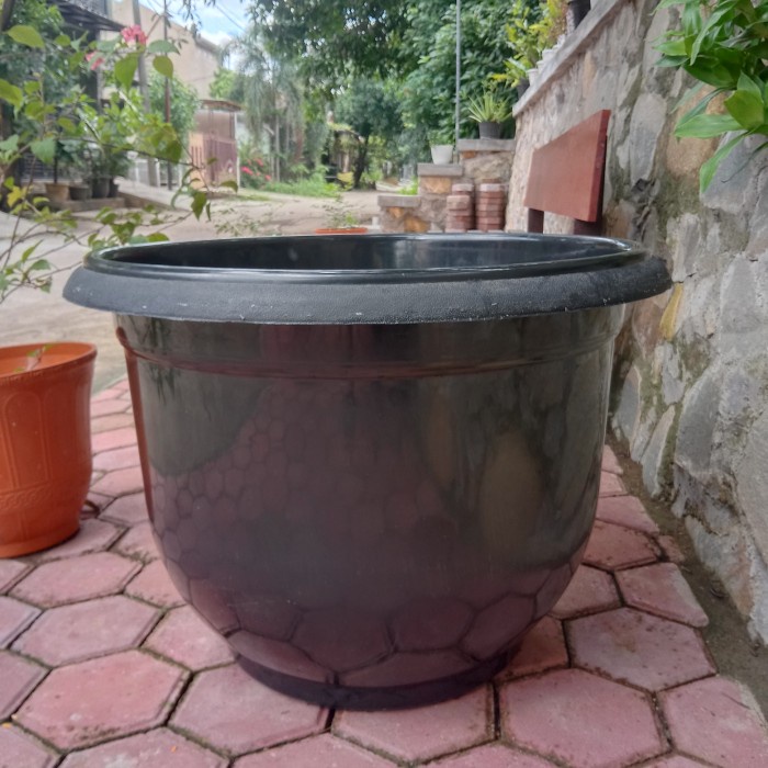Jual Pot Pot Jumbo Global Lion Ukuran 100 Cm | Shopee Indonesia