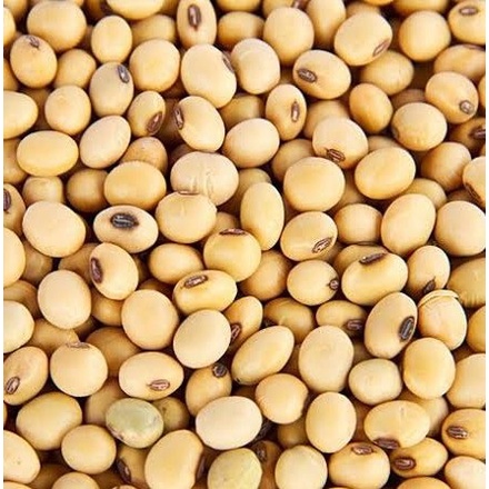 Jual Kacang kedelai / kedele mentah repack curah timbangan - 1 kg ...
