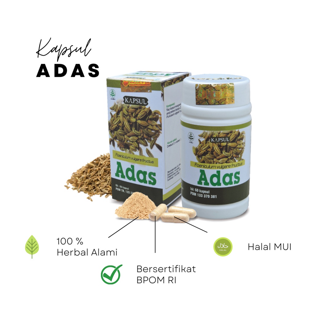 Jual Kapsul Biji Adas Pulowaras Pulosari Obat Jantung Bengkak dan Sesak ...