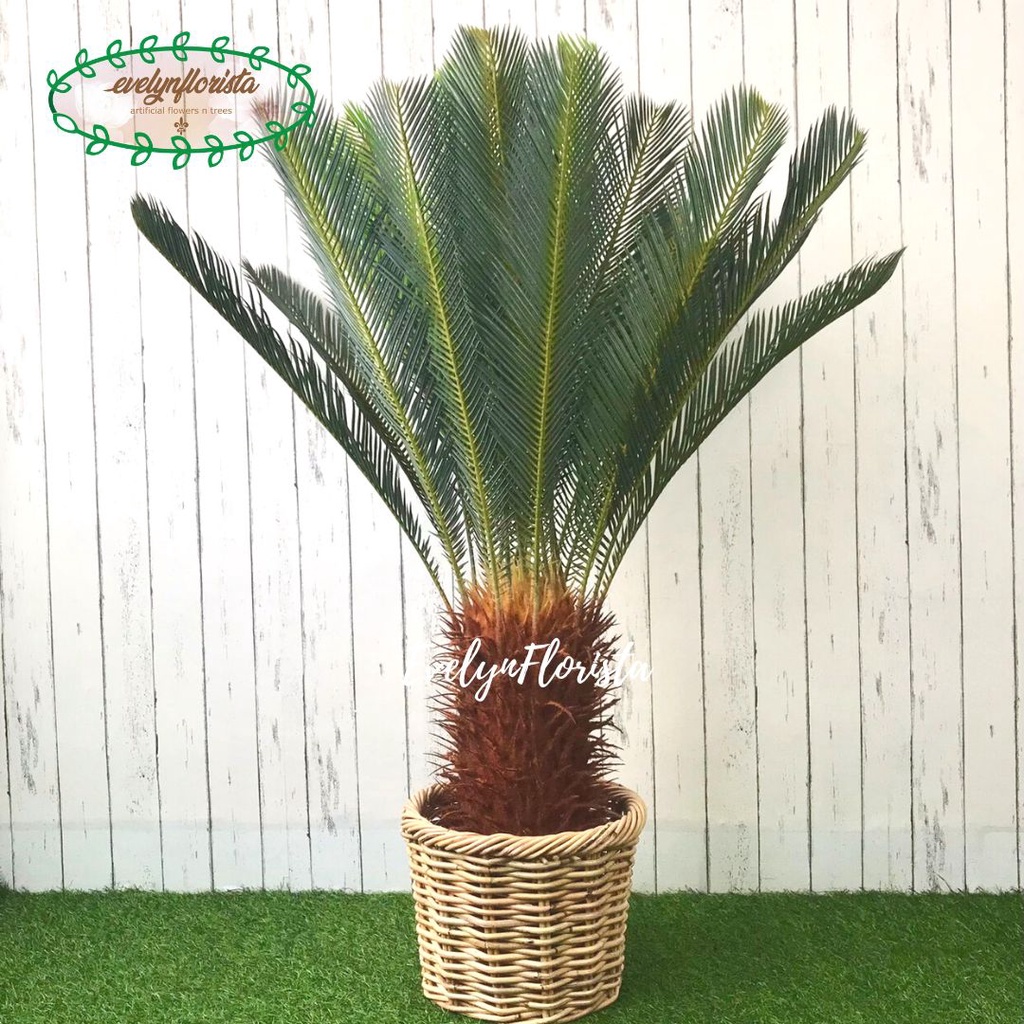 Jual Pohon Hias Daun Palem Phoenix T110 Latex Artificial Cover Pot ...