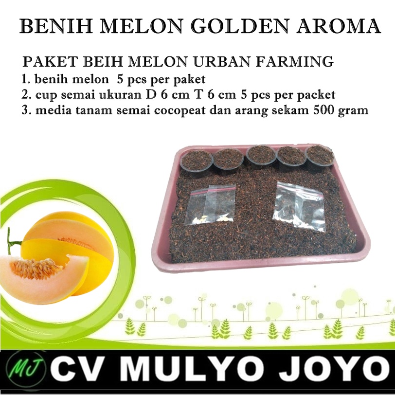 Jual BENIH MELON GOLDEN AROMA | Shopee Indonesia