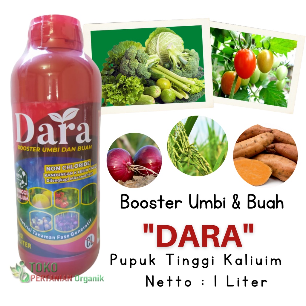 Jual Pupuk kalium cair DARA pembesar tanaman bawang merah, Booster umbi ...