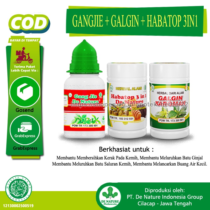 Jual Obat Batu Ginjal Infeksi Ginjal Radang Ginjal Kencing Batu Sakit Punggung Atas Pria Wanita