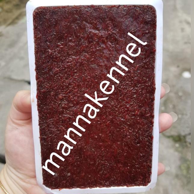 Jual cacing darah beku/frozen bloodworm/cabek/cacing beku tray kiloan ...