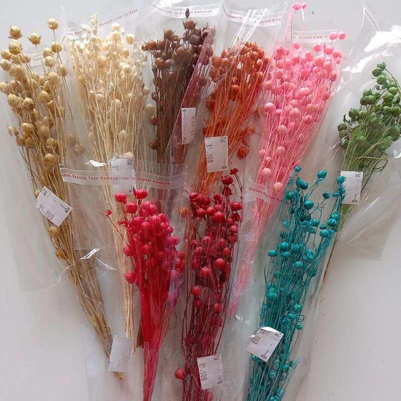 Jual bunga kering Coriander/lino berbagai macam warna | Shopee Indonesia