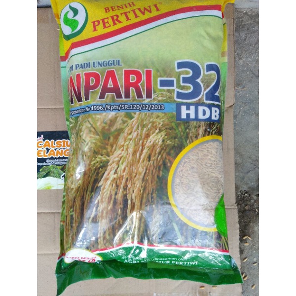 Jual INPARI-32 HDB Benih Padi PERTIWI | Shopee Indonesia