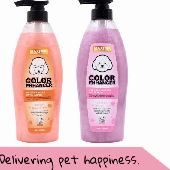 Jual Shampoo anjing Poodle Red / Brown Maxima - Poodle shampoo | Shopee ...