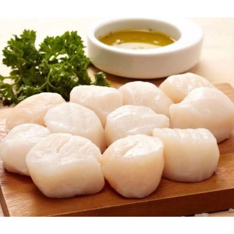 Jual Scallop USA/Kerang Kampak jumbo 2.27 kg | Shopee Indonesia