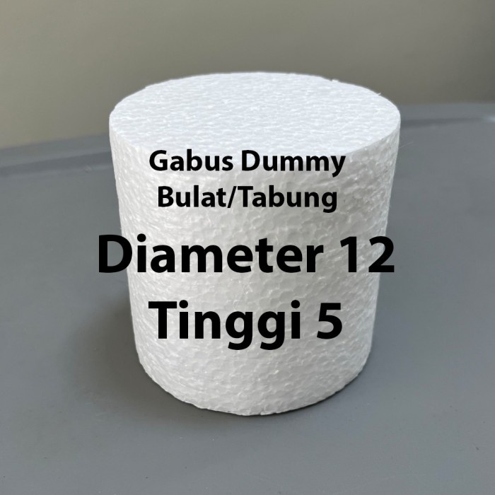 Jual Gabus Dummy Cake Styrofoam Bulat Tabung Diameter 12 cm Tinggi 5 cm ...