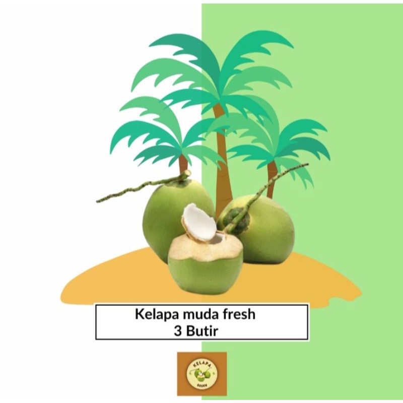 Jual kelapa muda fresh / kelapa muda (3 butir) | Shopee Indonesia