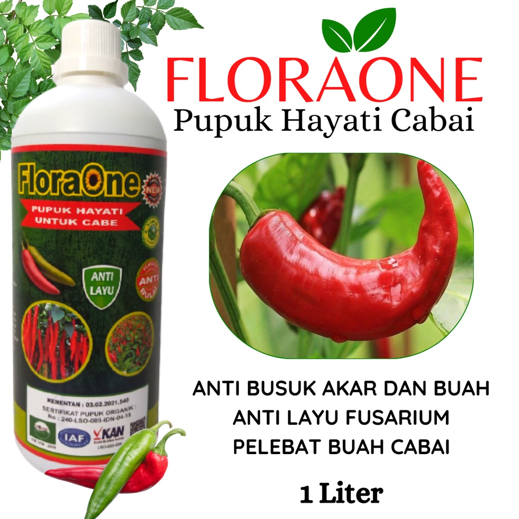 Jual Pupuk Cabe Rawit Agar Berbuah Lebat, Obat Layu Fusarium Tanaman Cabai | Shopee Indonesia