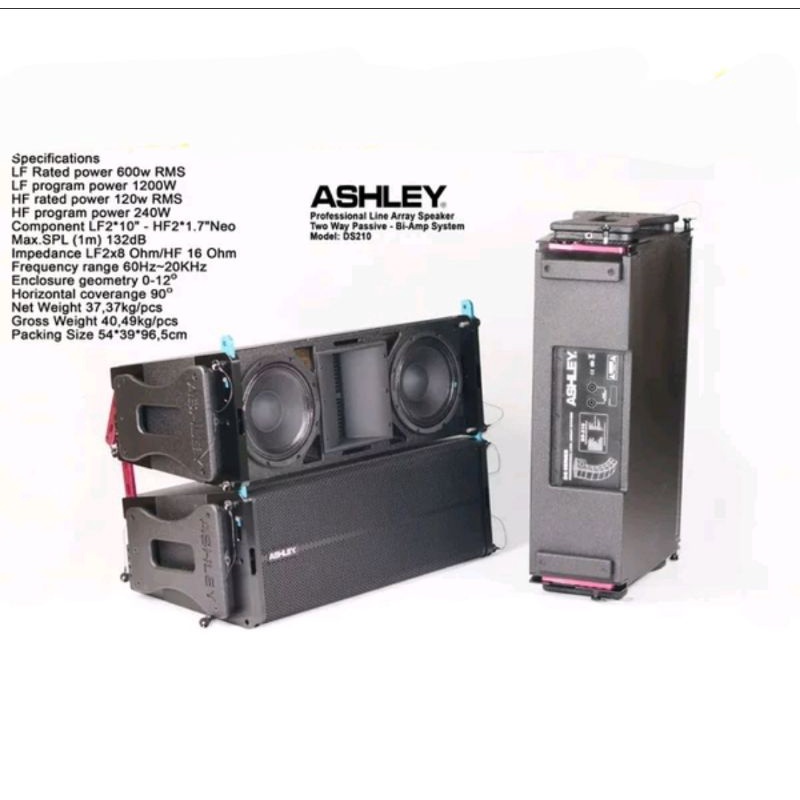 Jual Speaker Line Array ASHLEY DS210 Pasif 2way 10inch | Shopee Indonesia