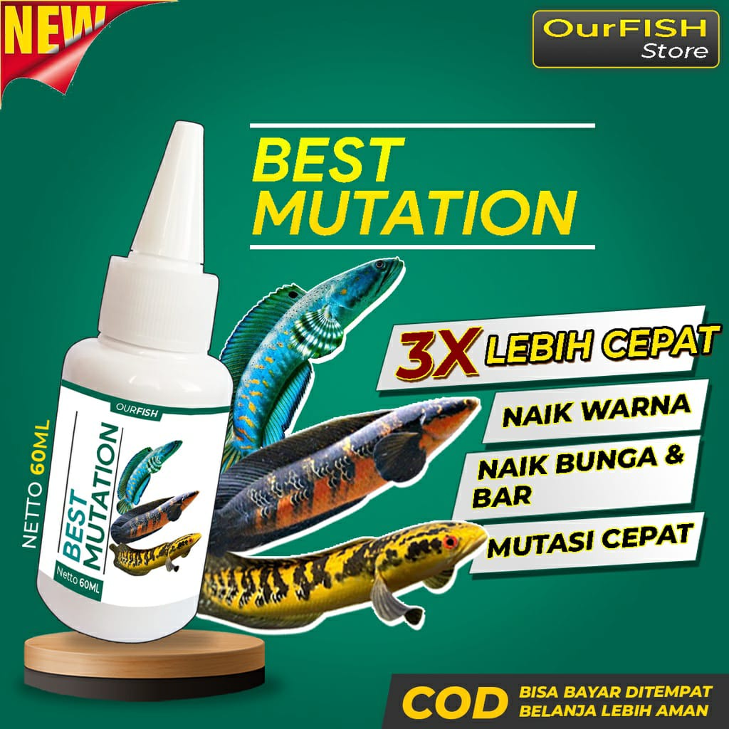 Jual Obat Mutasi Ikan Channa BEST MUTATION Vitamin Ikan Channa Maru ...