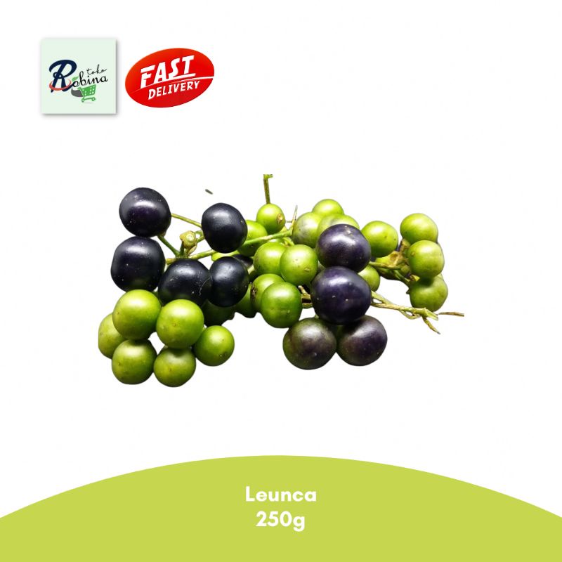 Jual Leunca Sayur Segar 250 gr | Shopee Indonesia