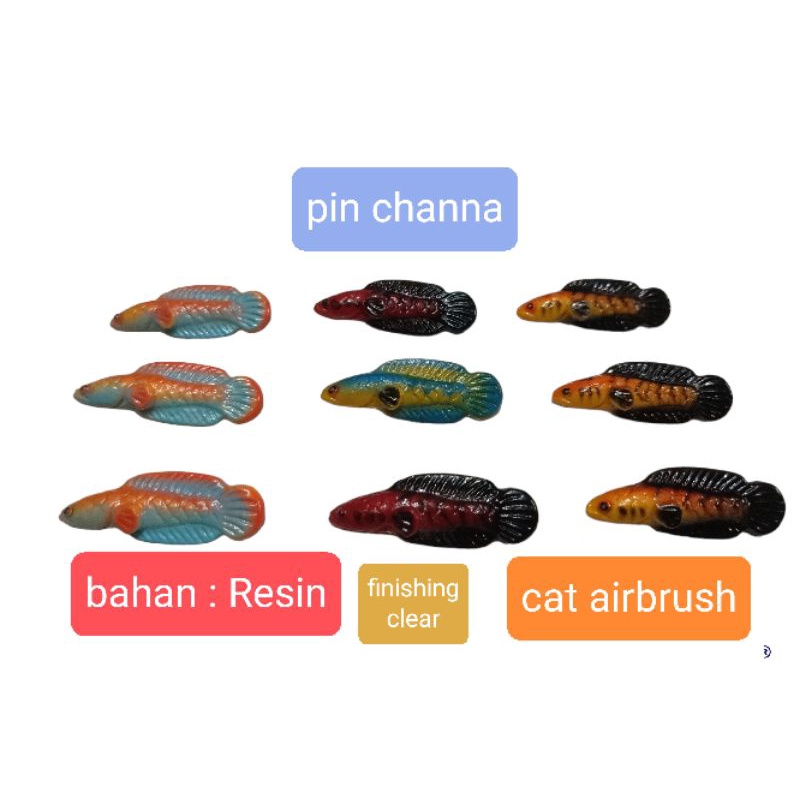 Jual Pin bros ikan Channa yellow maru auranti red maru fire and ice ...