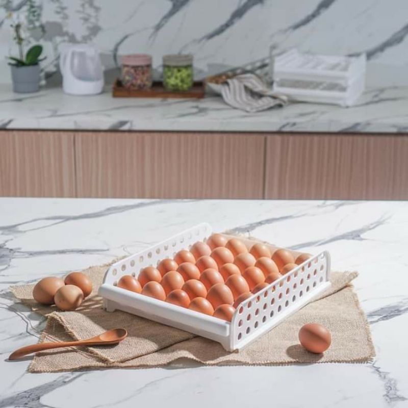 Jual tempat wadah telur minimalis / technoplast egg crate | Shopee ...