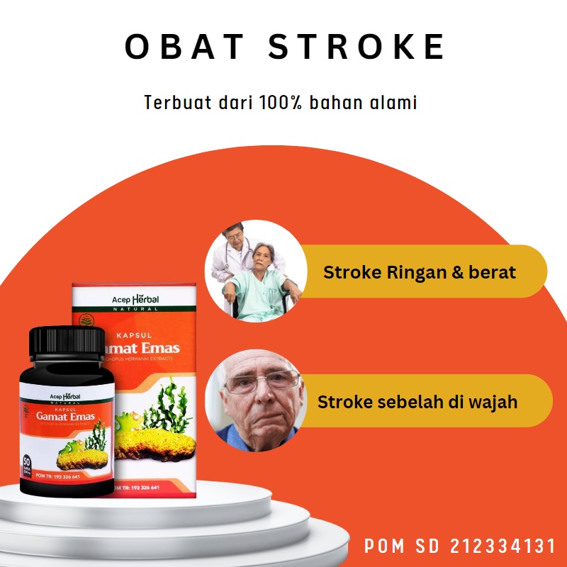 Jual Kaka Herbal - Obat Stroke, Obat Stroke Sebelah Kanan, Struk Ringan ...