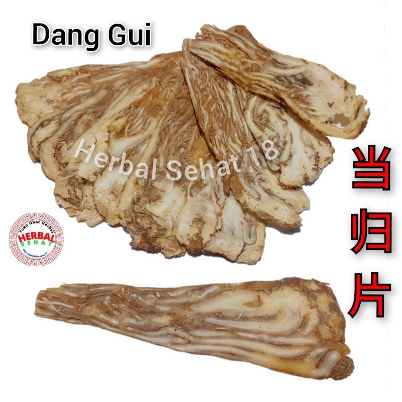 Jual Dang Gui Pian 300 gram Tang Kui Pian 全当归片 / Tang Kwei / Tangkui ...