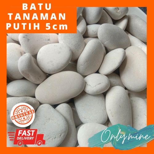 Jual Batu Hias Coral Putih 1plastik Besar 8kg | Shopee Indonesia