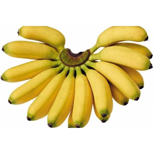 Jual Buah Segar Pisang Mas Pisang Susu Pisang Mahuli Sesisir | Shopee ...