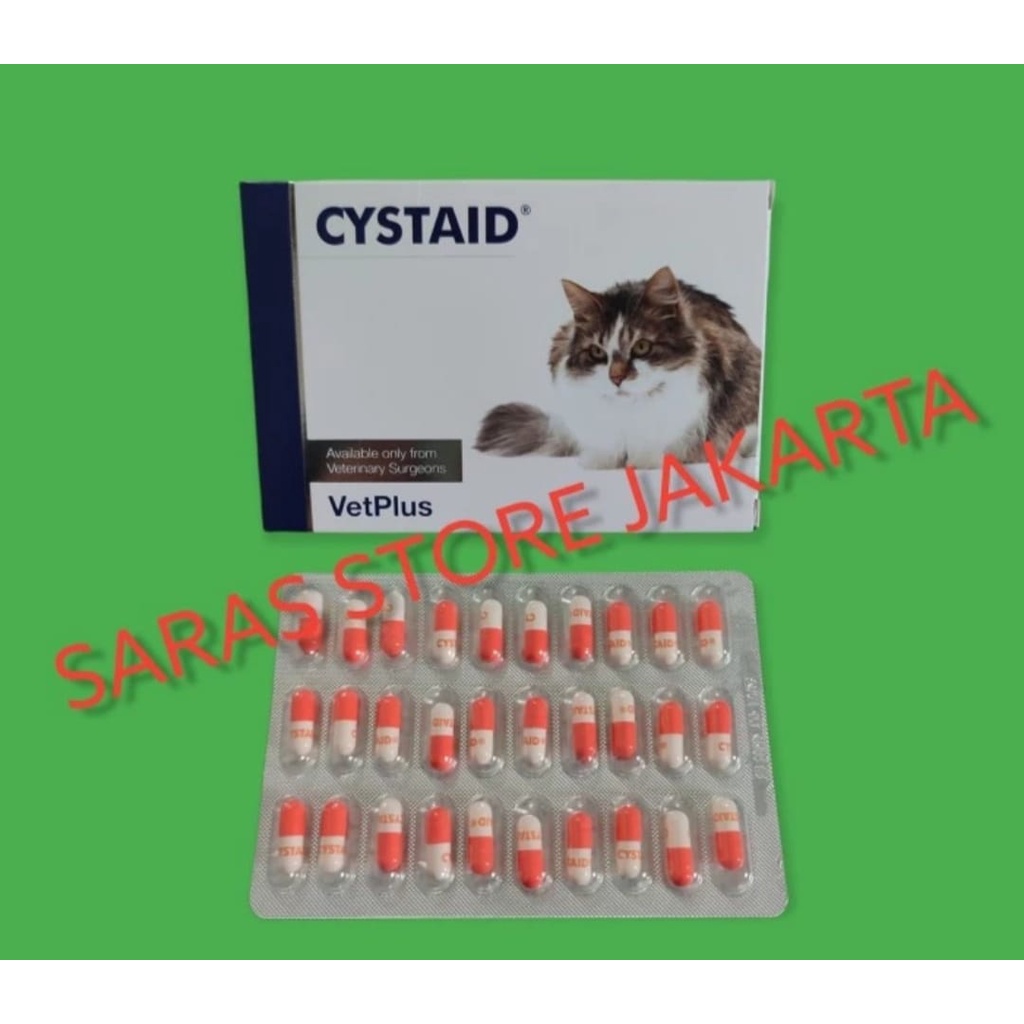 Jual Cystaid ORIGINAL Vetplus Kapsul Obat Gangguan Saluran Kencing ...