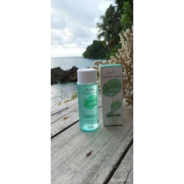 Jual Toner re glow 2 in 1 original 100% | Shopee Indonesia