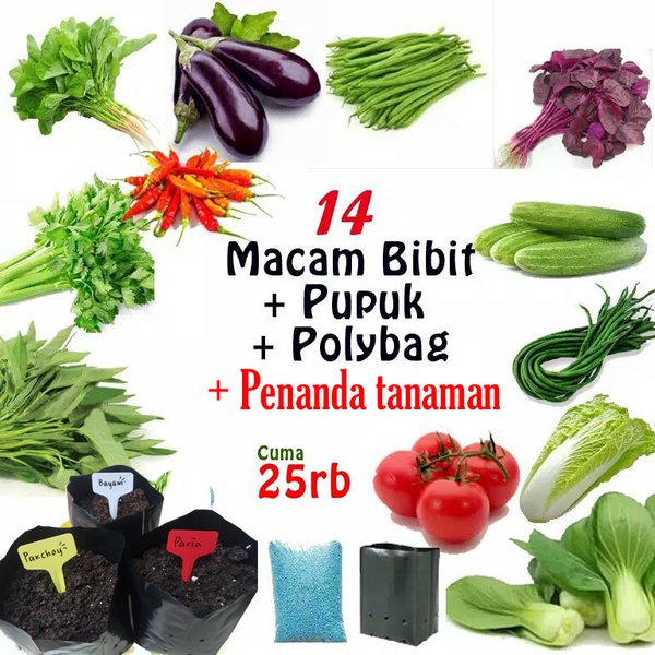 Jual BIBIT BENIH SAYURAN DAN BUAH PAKET EKONOMIS LENGKAP DENGAN PUPUK DAN POLIBAG HANYA 25 RIBU ...