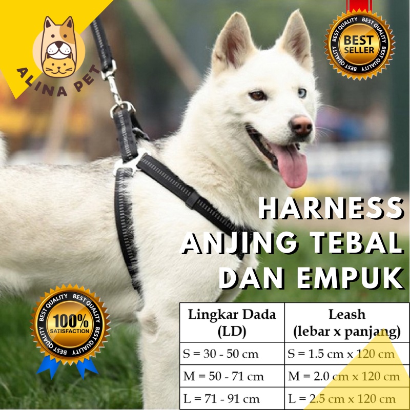 Jual Harness Anjing TEBAL EMPUK Dog Harness 1 SET Tali Tuntun Anjing ...