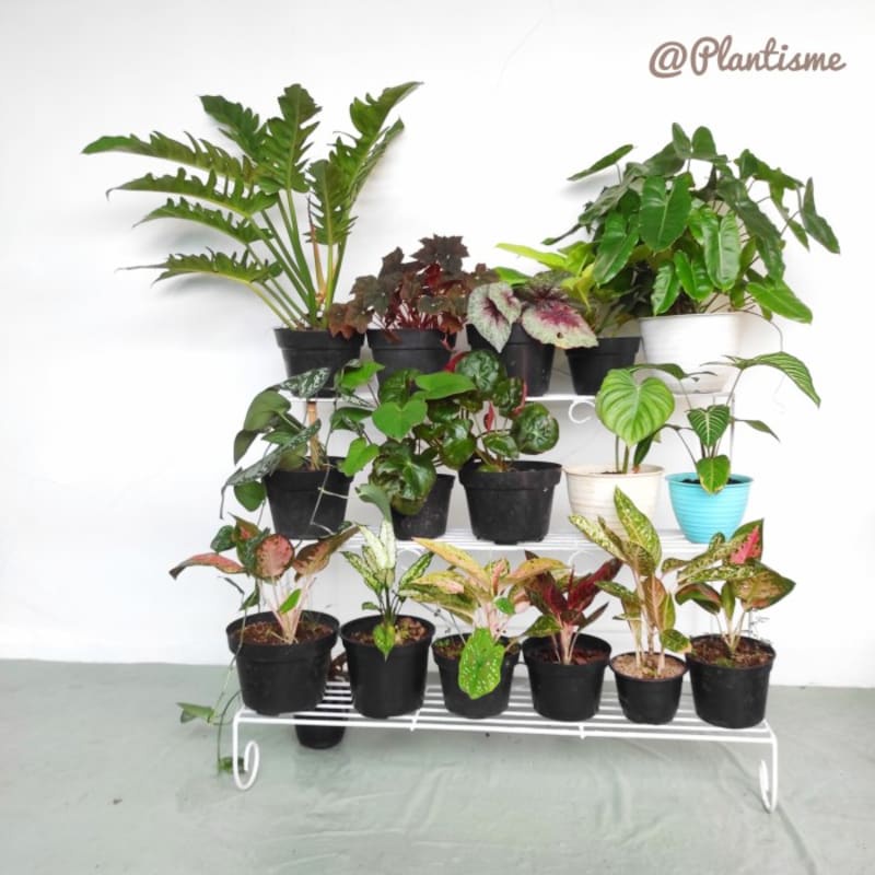 Jual Rak - Rak Besi Tingkat Tangga Susun 3 Minimalist Pot Hias Bunga ...