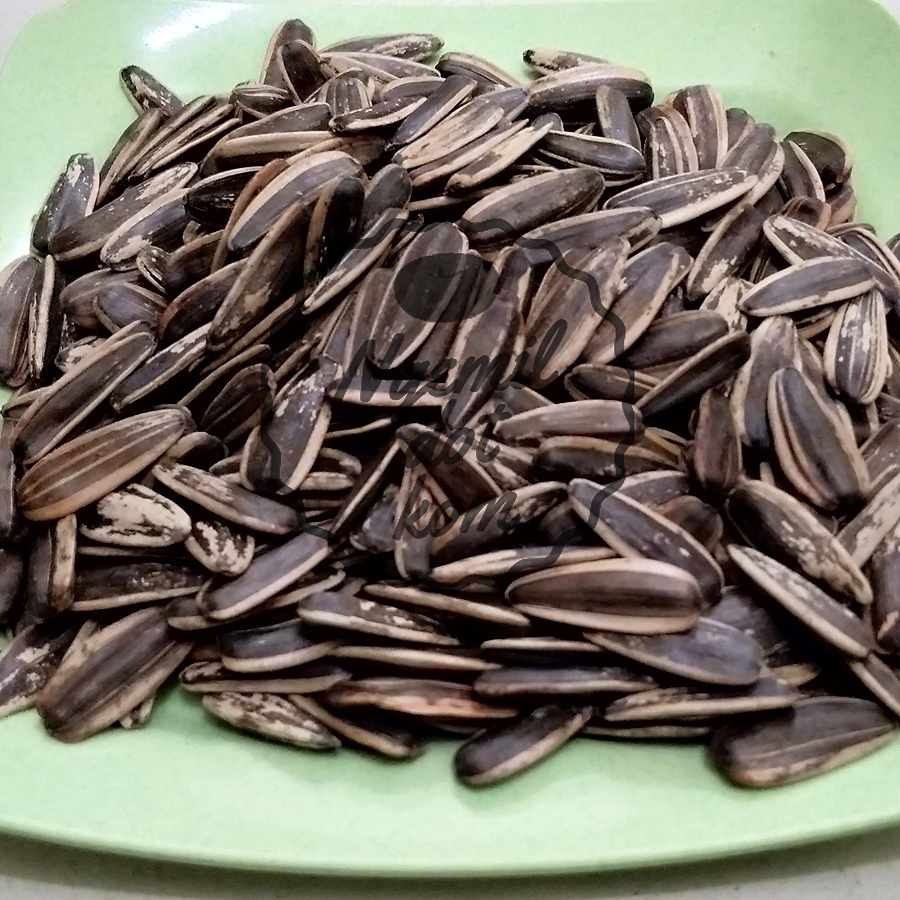 Jual KUACI BUNGA MATAHARI 500gr / KUACI HITAM / KUACI ITEM KILOAN ...