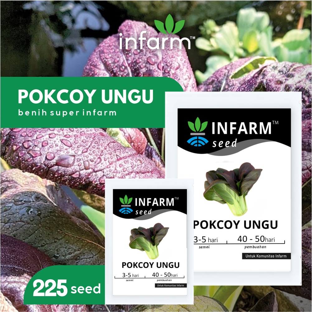 Jual INFARM - Benih Bibit Biji Super Sayur Sawi Pokcoy Ungu | Shopee Indonesia