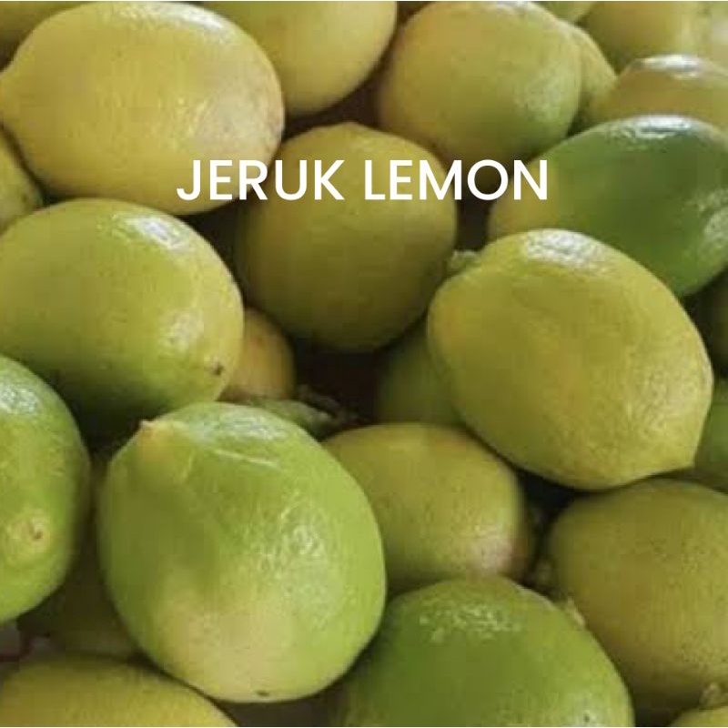 Jual Jeruk Lemon 1Kg Jeruk Lemon Lokal Fresh | Shopee Indonesia