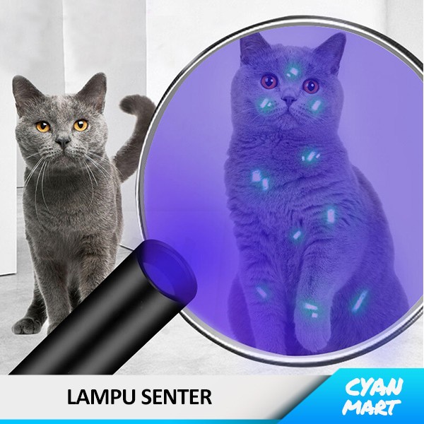 Jual LAMPU SENTER UV FLASHLIGHT LED ULTRAVIOLET 365 ALUMINUM ...