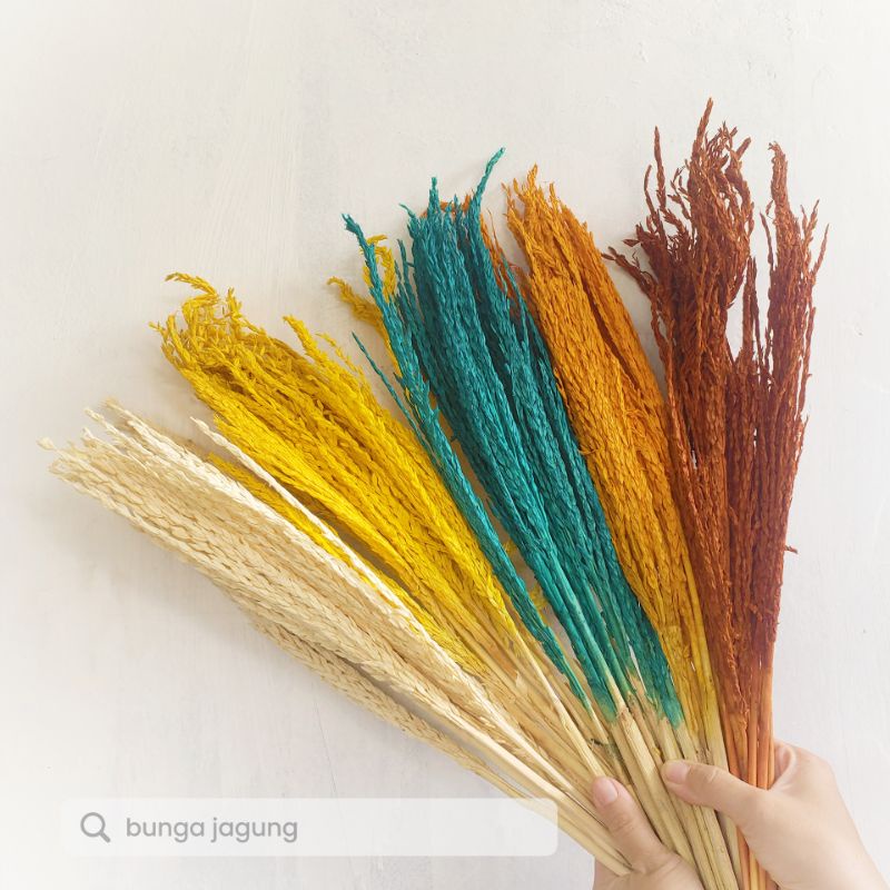 Jual Bunga jagung / Dried flowers rustic / bunga kering | Shopee Indonesia