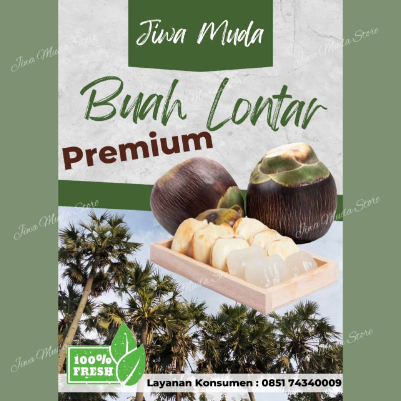 Jual Buah Lontar/ Siwalan premium siap konsumsi (isi 12) | Shopee Indonesia