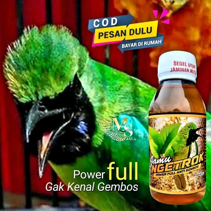 Jual jamu ngetrok /jamtrock/Temukan JAMTROCK RG/Vitamin burung Cucak ...