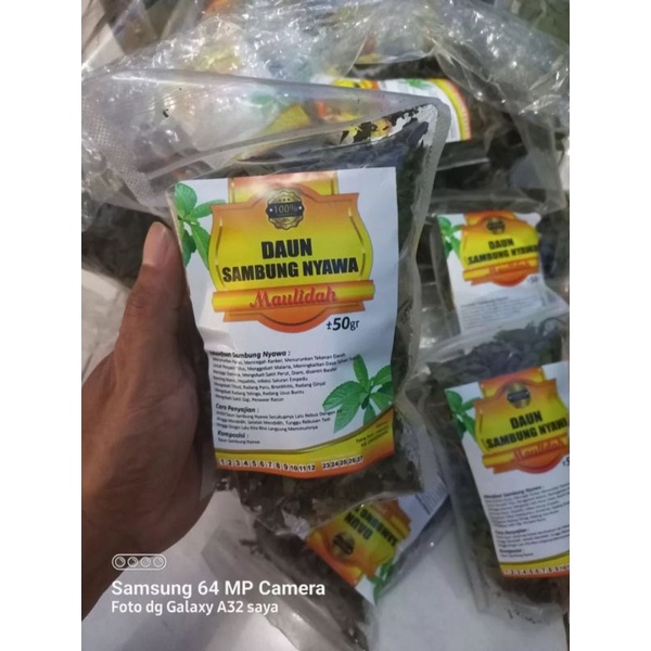 Jual TEH SEHAT DAUN SAMBUNG NYAWA ISI 30 GRAM | Shopee Indonesia
